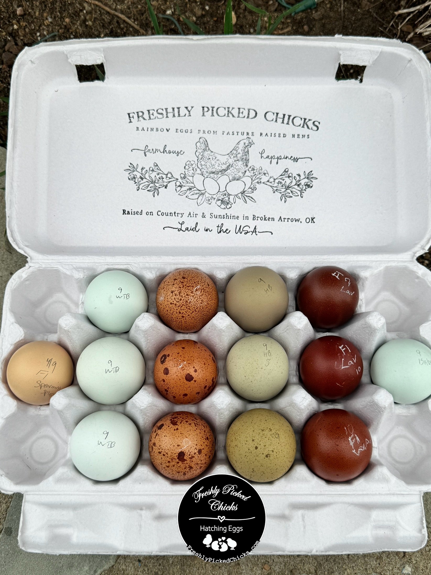 Design-a-Dozen – Freshly Picked Chicks